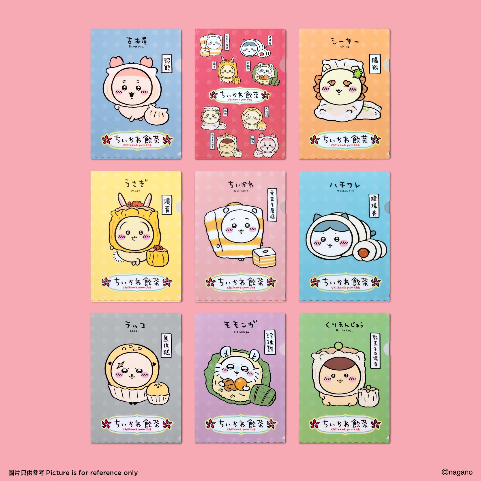17b. A4文件夾（套裝）A4 Folder (Set) – DDTStore
