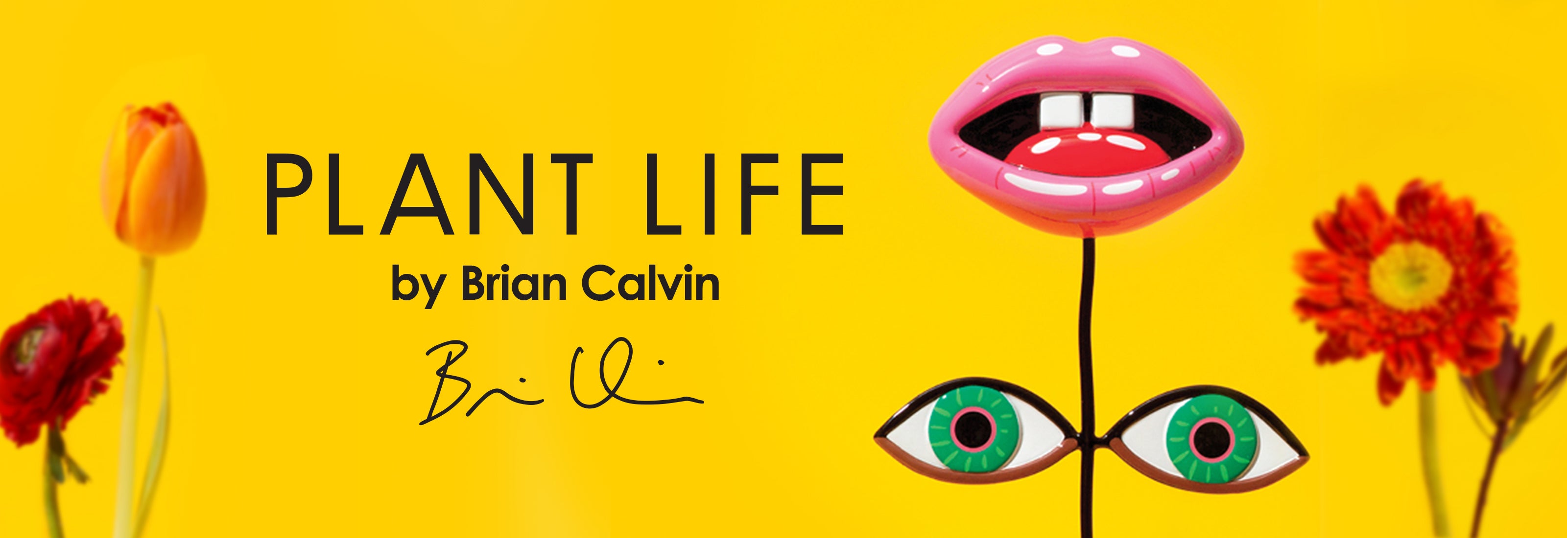 Brian Calvin – DDTStore