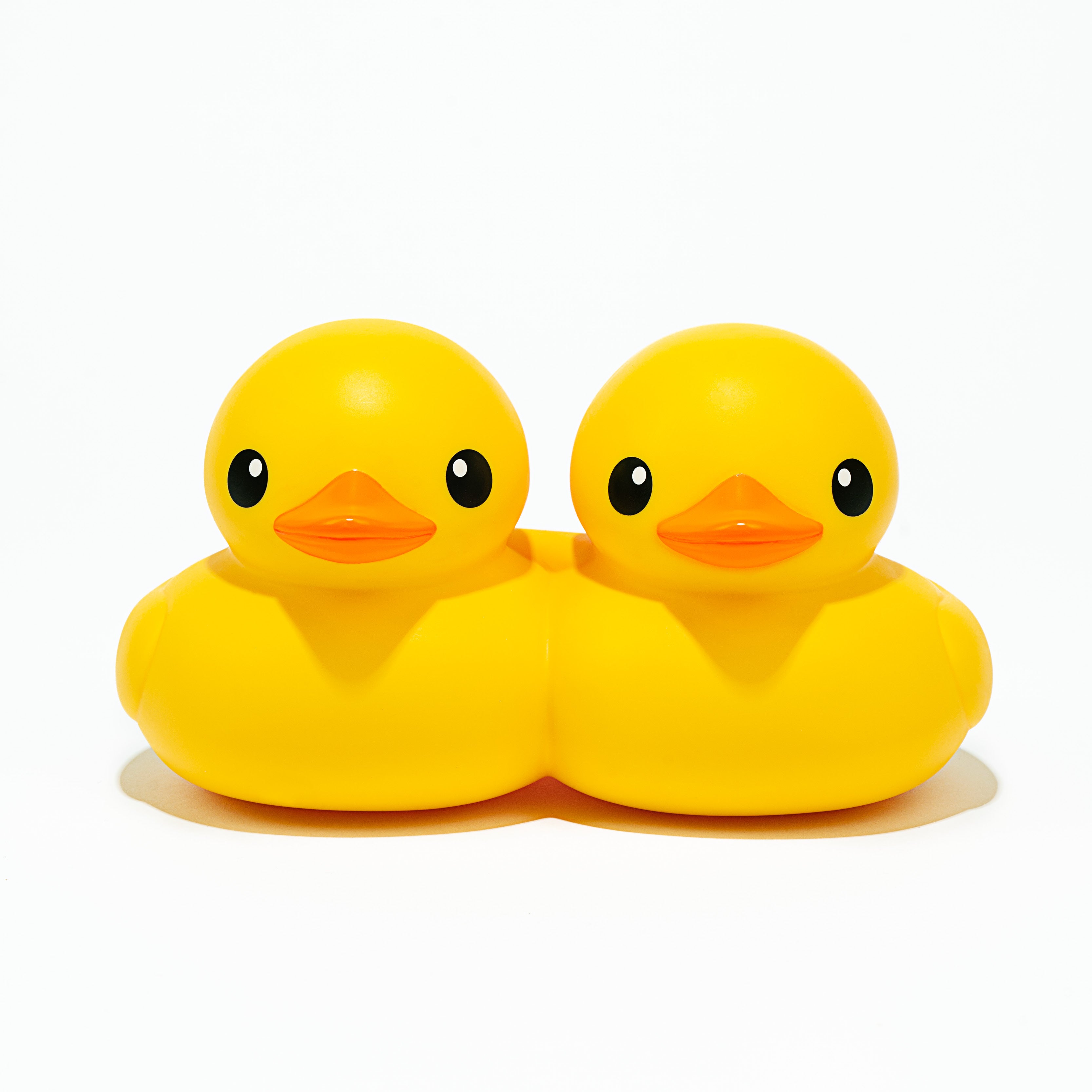 ”Double Ducks" 3.5-inch Vinyl Figure – DDTStore