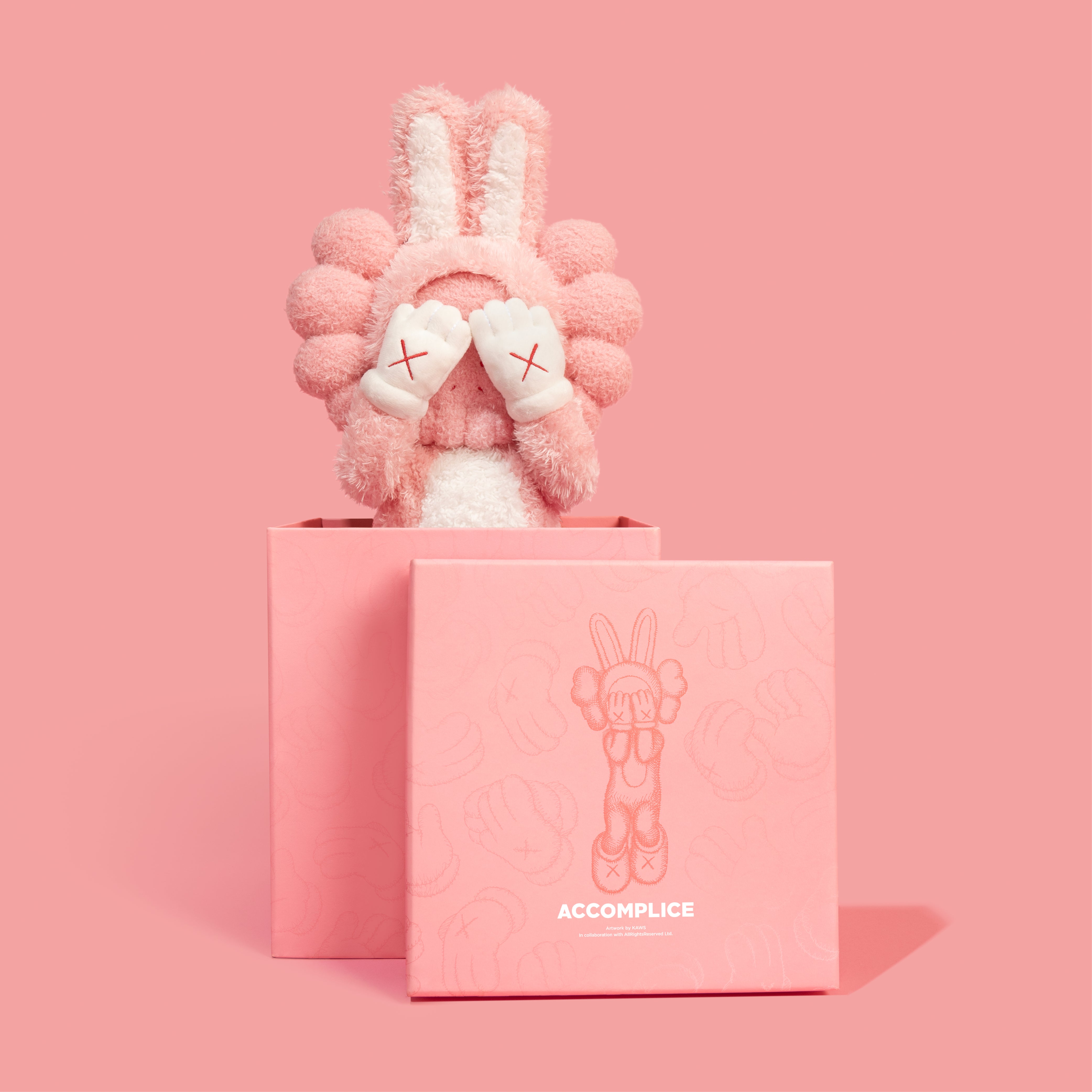 KAWS ACCOMPLICE PLUSH – DDTStore