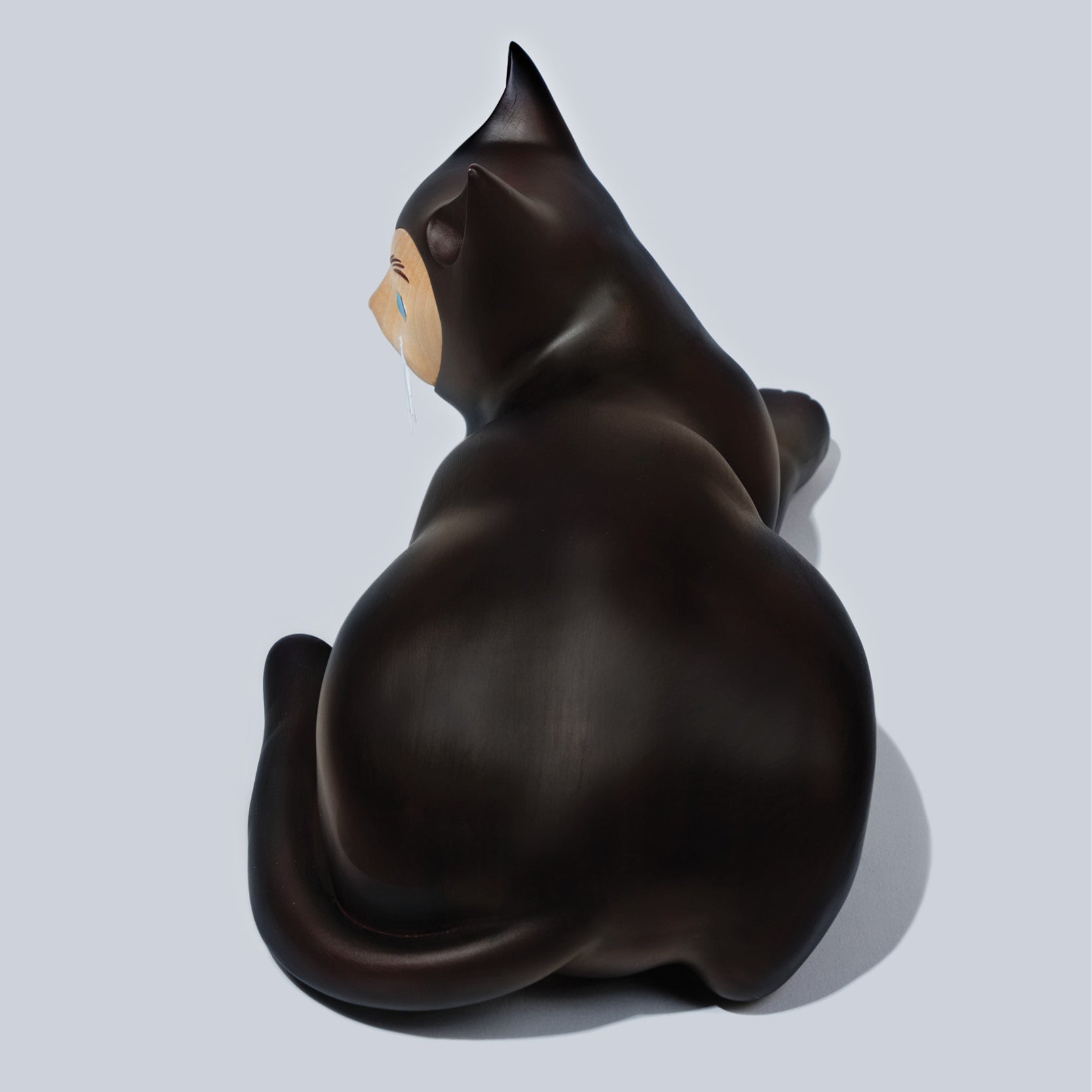 Woke Up As A Cat – DDTStore