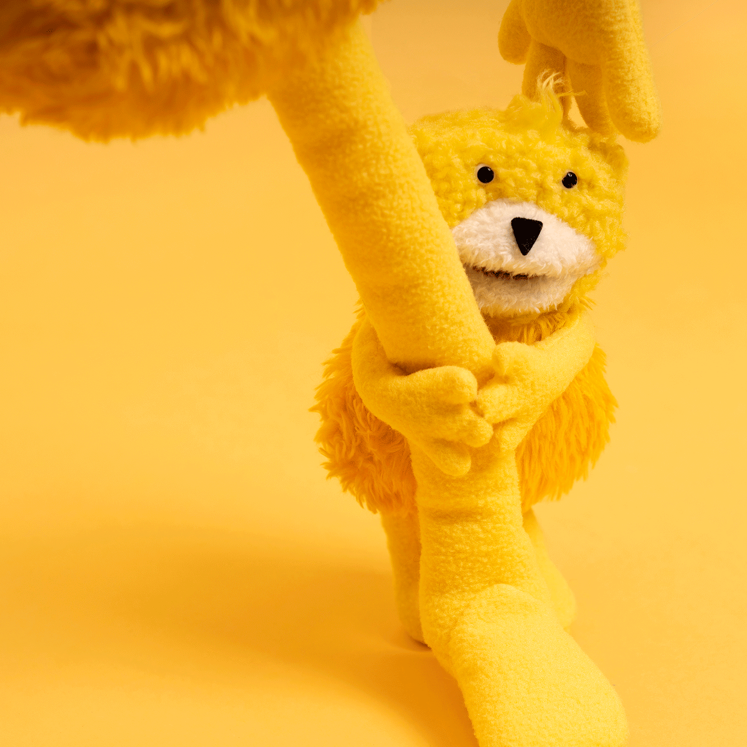 FLAT ERIC 20TH ANNIVERSARY COLLECTOR BOX – DDTStore